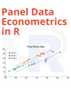 Panel Data Econometrics in R: The plm Package