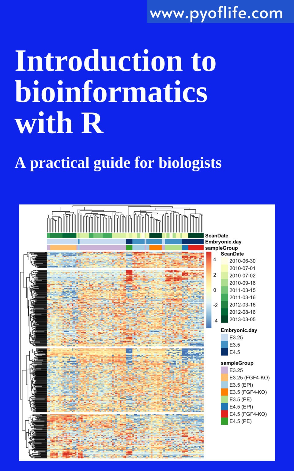 Introduction to Bioinformatics with R